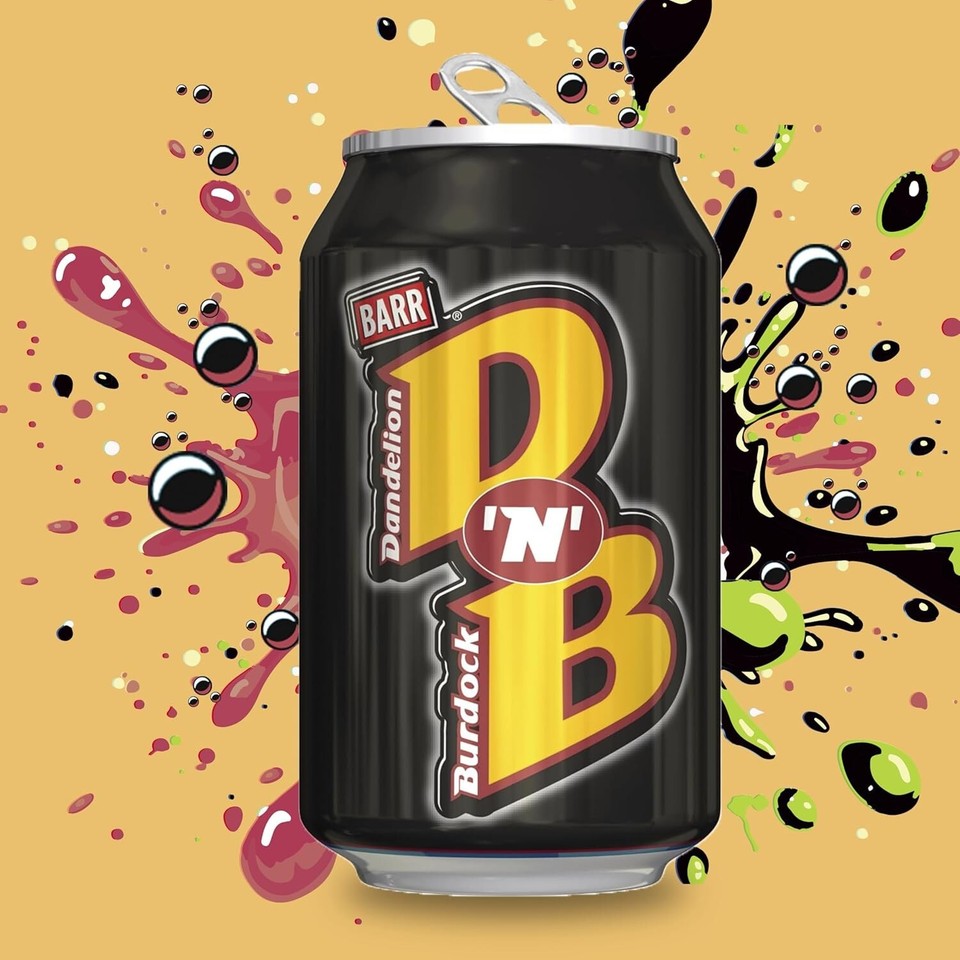 DNB 24 Pack Dandelion and Burdock, Zero No Sugar Flavoured Fizzy Drink ...