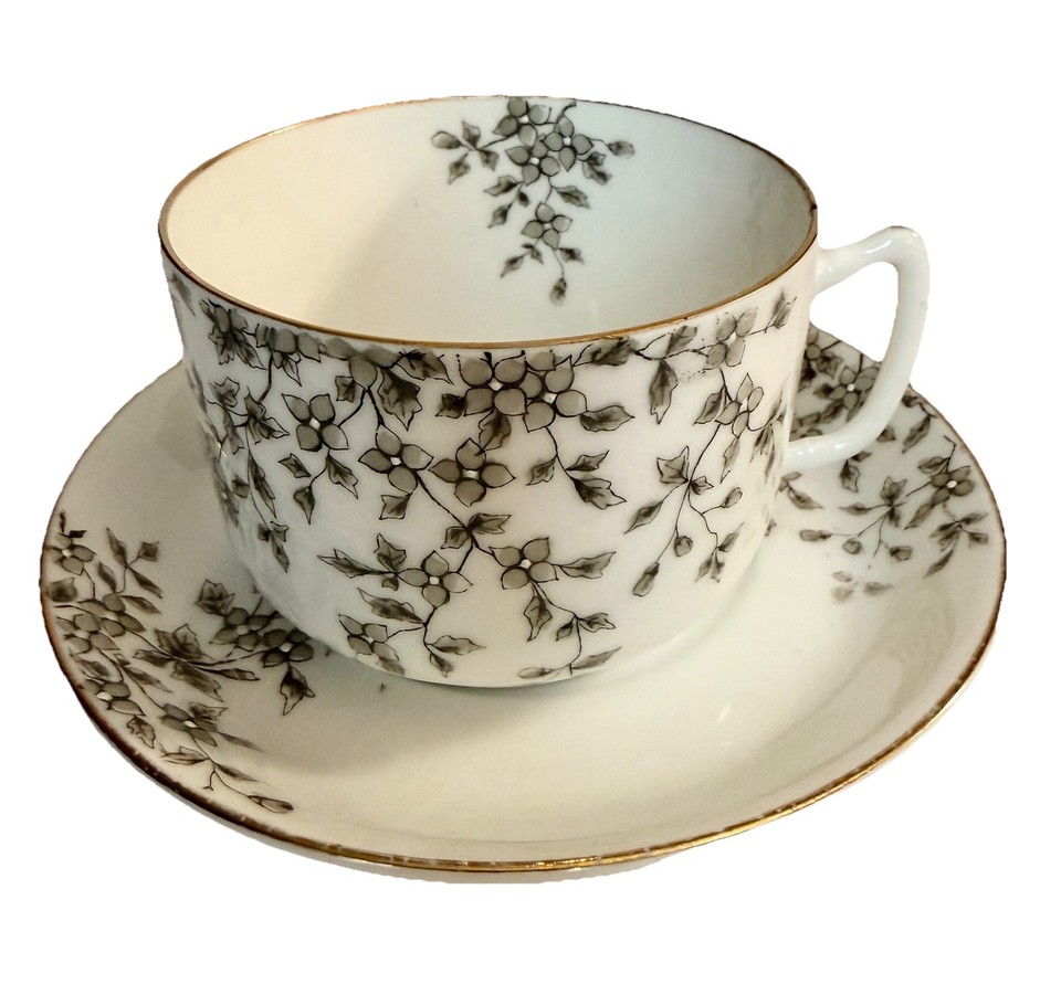 Antique Carlsbad Fine China Set of 2 Teacups & Saucers Delicate Floral ...