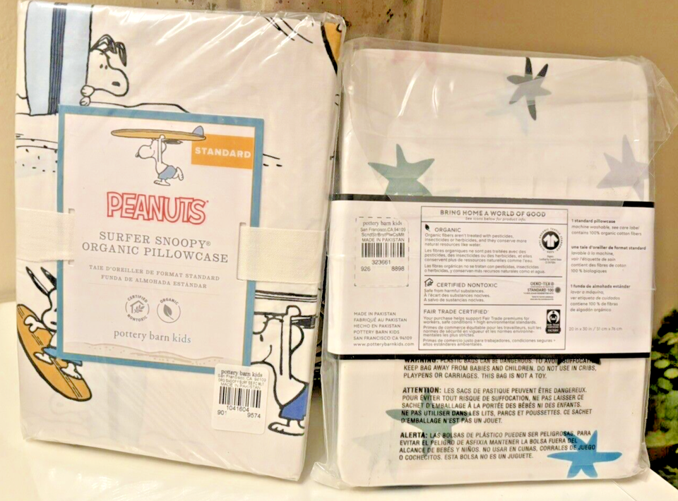 Pottery Barn Snoopy School peanuts Holiday Disney superhero cartoon SET ...