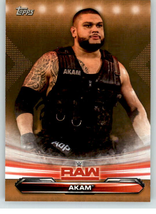 2019 WWE Raw Bronze #1 Akam | eBay