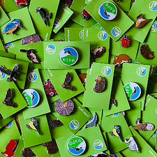 RSPB | eBay UK Stores