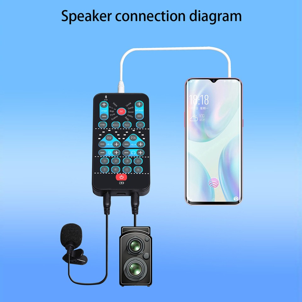 Portable Handheld Voice Changer Multifunctional Sound Disguiser with 8 ...