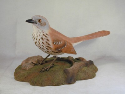 Brown Thrasher Original Wood Carving | eBay
