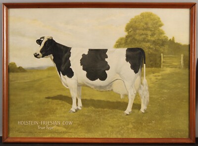 Antique Holstein-Friesian True Type Cow E. Megargee Lithograph ...