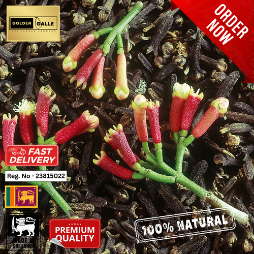 100% Pure Ceylon Whole organic Clove Cloves Sun Dried Organic Herbs ...