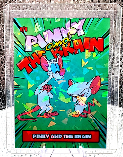 Pinky and the Brain cracked ice Refractor 1/1 Custom Card #034 | eBay