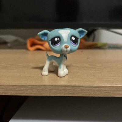 LPS Authentic Rare # 2526 White Greyhound Blue Flower Blue whippet ...
