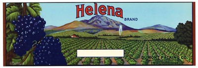 HELENA Brand Grape, Calistoga, St., Geyser ***AN ORIGINAL FRUIT CRATE ...