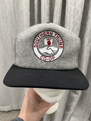 Southern Thumb CO-OP Silver Red Front Patch Hat Cap Heather Gray Black ...