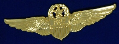 Flight Safety Institute (FSI) Supervisory Airline Pilot Wing PW | eBay