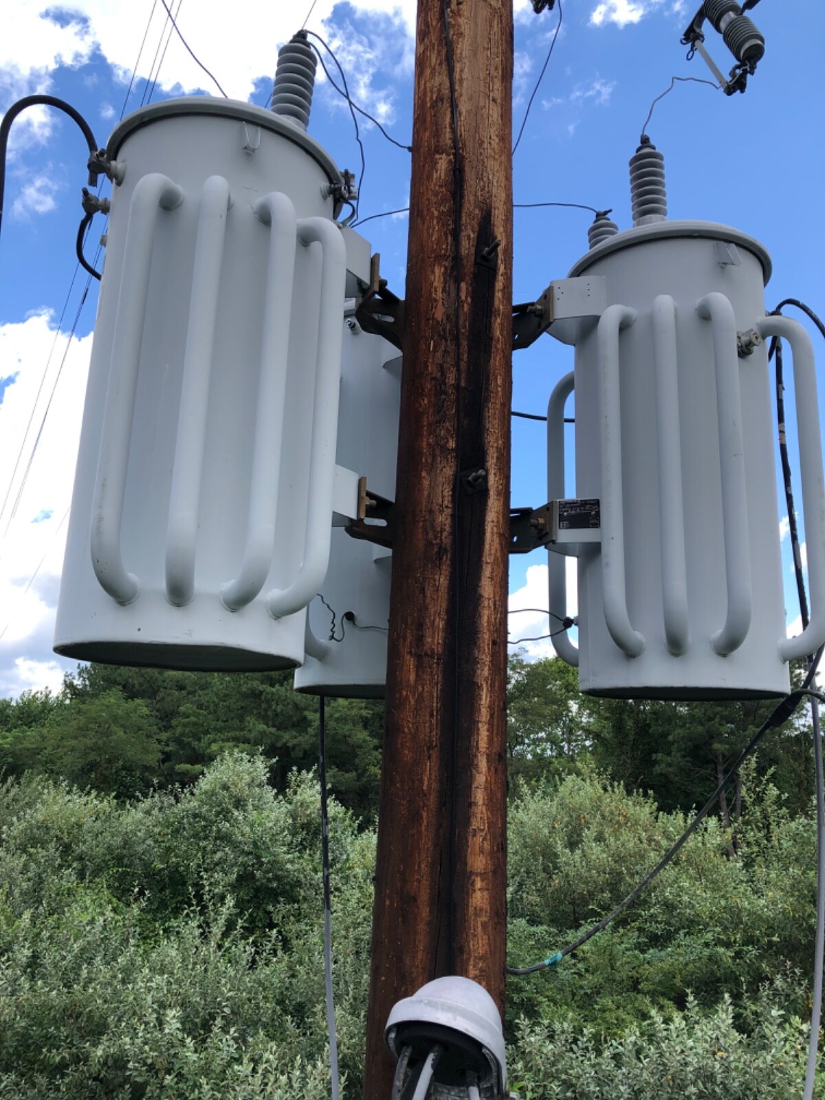 pole mount 100 kw transformers, central maloney inc. HV 19920/34500, LV ...