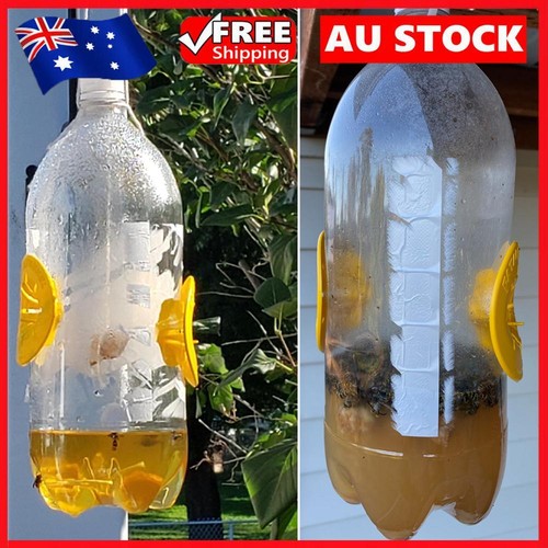 10pcs Flying Insects Funnel Trap Non-toxic Wasp Killer Catcher Pest ...