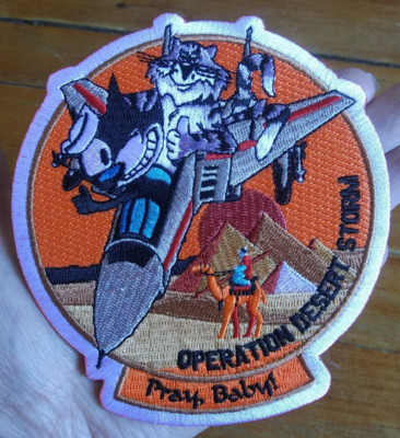 VF-31 TOMCATTERS Felix F-14 TOMCAT PRAY BABY Operation Desert Storm ...