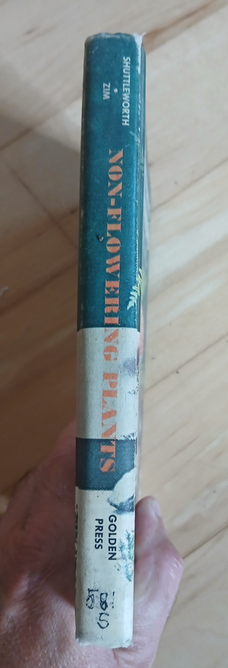 Non-Flowering Plants Golden Guide Nature Field Guide Book Vintage ...