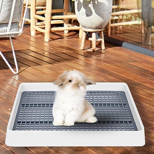 2 Pack Large Rabbit Litter Box with Small Broom and Dustpan Rabbit ...