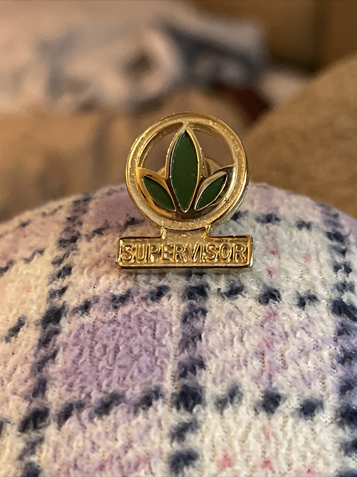 Supervisor Gold Tone Lapel Pin (CC) | eBay