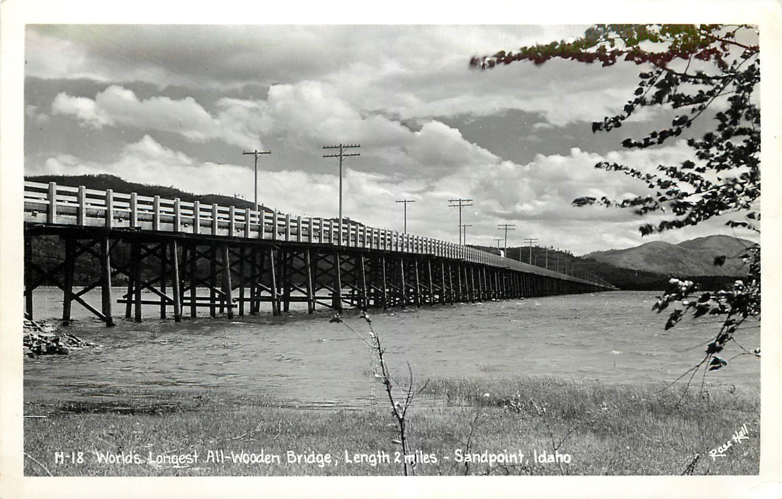 c1950 RPPC Postcard World's Longest Wooden Bridge 2 Miles Sandpoint ID ...