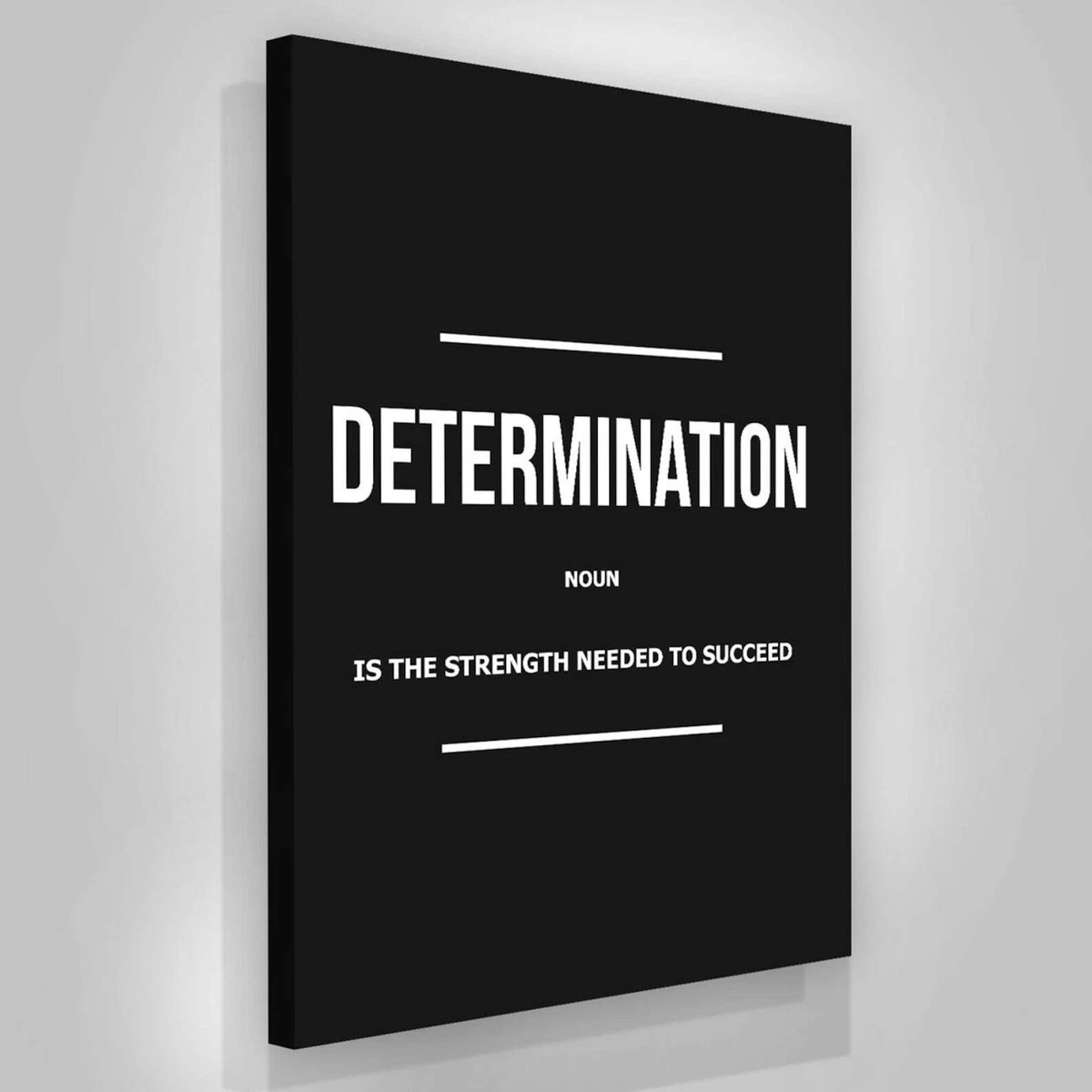 Determination Definition