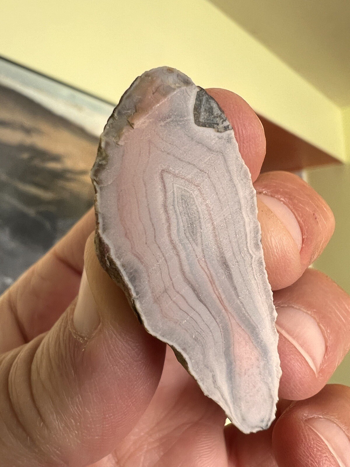 Queensland Australia Agate Nodule Thunderegg W5 Tiny | eBay