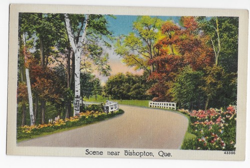 Vintage Postcard Bishopton Quebec Canada Scene Linen | eBay