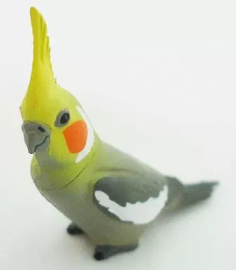 Candy Toy Trading Figure 77 P36B Cockatiel Normal "ChocoQ Pet Animal ...