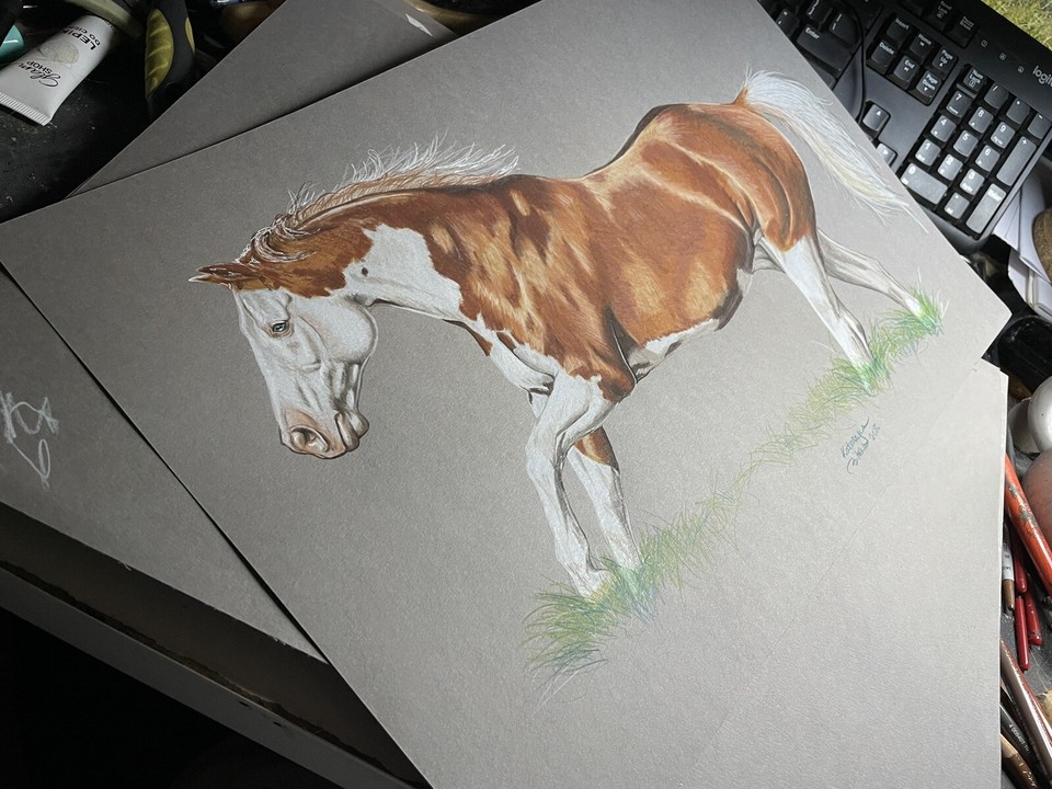 COA Original Drawing Art Colored pencils chestnut sabino quarter horse ...
