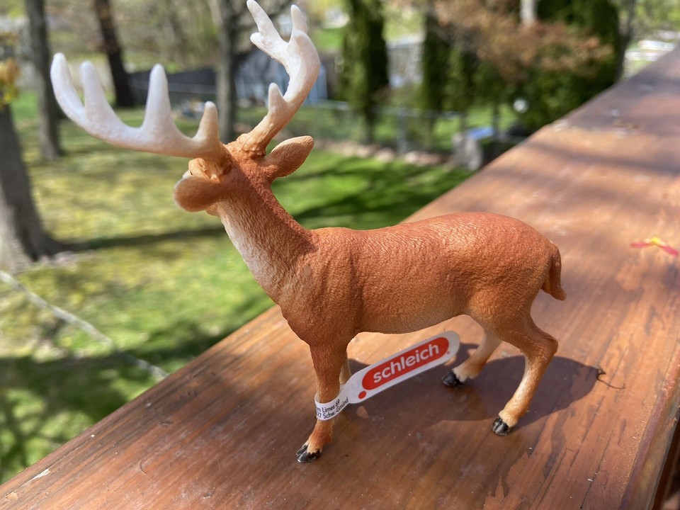 Schleich Wild Life White-Tailed Deer Buck Toy Figure Brown 14818 New | eBay