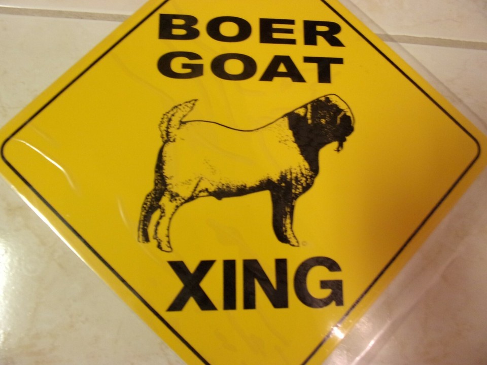 BOER GOAT XING Aluminum Novelty Amber Sign 17" X 17" DIAGONAL SIGN ...