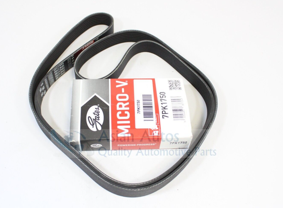 Gates 7PK1750 Serpentine Belt Fits: Acura TSX 04-08 Honda CR-V 07-09 | eBay