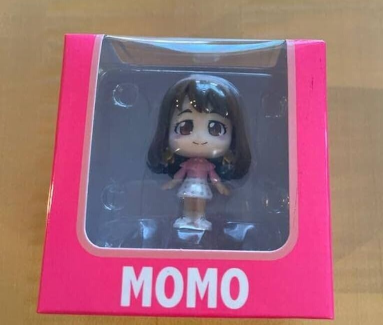TWICE JPN DOME TOUR Dreamday Limited Official Goods MOMO Small Petit ...