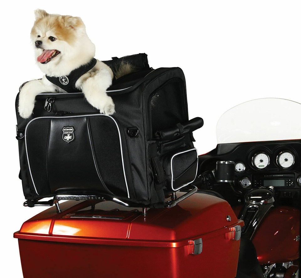 Universal Motorcycle Pet Dog Carrier Nelson Rigg Rover Harley Goldwing ...