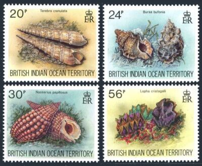BIOT 172-175, MNH. Sea shells 1996. | eBay