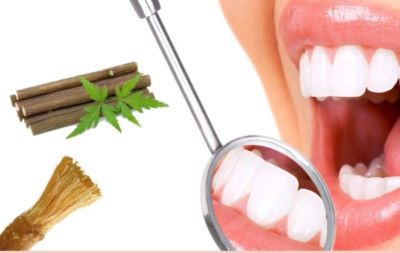 Neem Datun 100% Fresh Herbal Healthy Teeth & Tongue Cleaner 10 Chewing ...