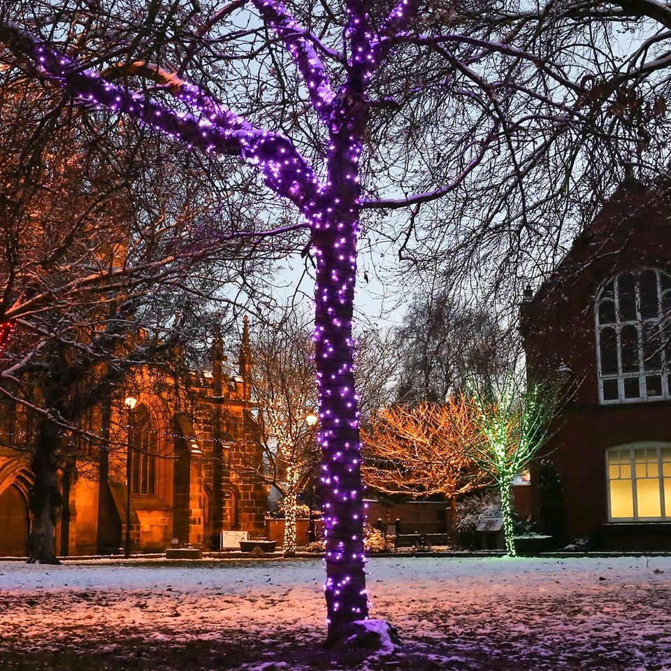 ConnectPro® LED Connectable IP65 Outdoor String Fairy Lights EXTENSION ...