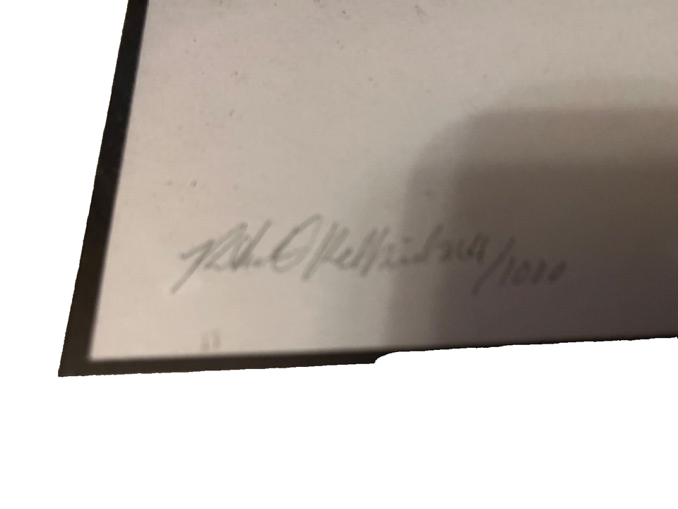 SALE! NIGHT WALKER 864/1000 Robert Redbird Autographed & Signed Print ...