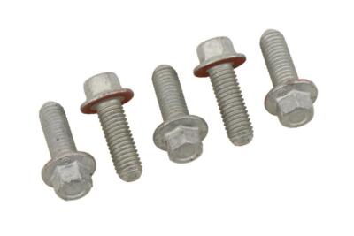 GM Genuine Parts 12556127 Exhaust Gas Recirculation (EGR) Pipe Bolt | eBay