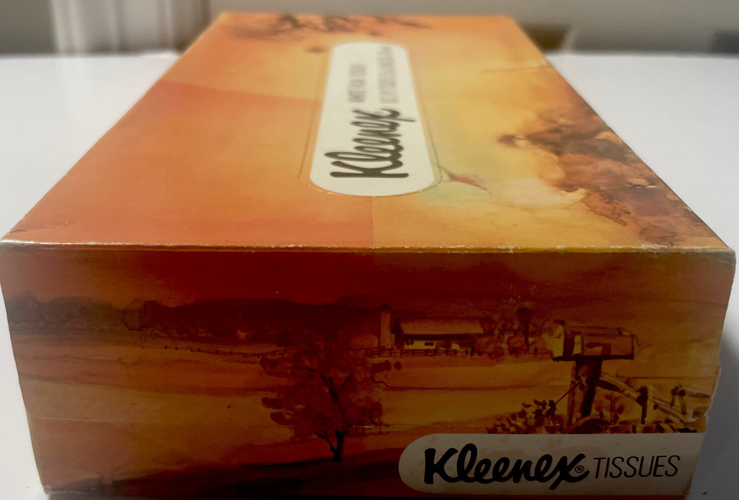 Vintage 80s Kleenex Facial Tissues Farm Fall 100 2-Ply Box Movie TV Set ...