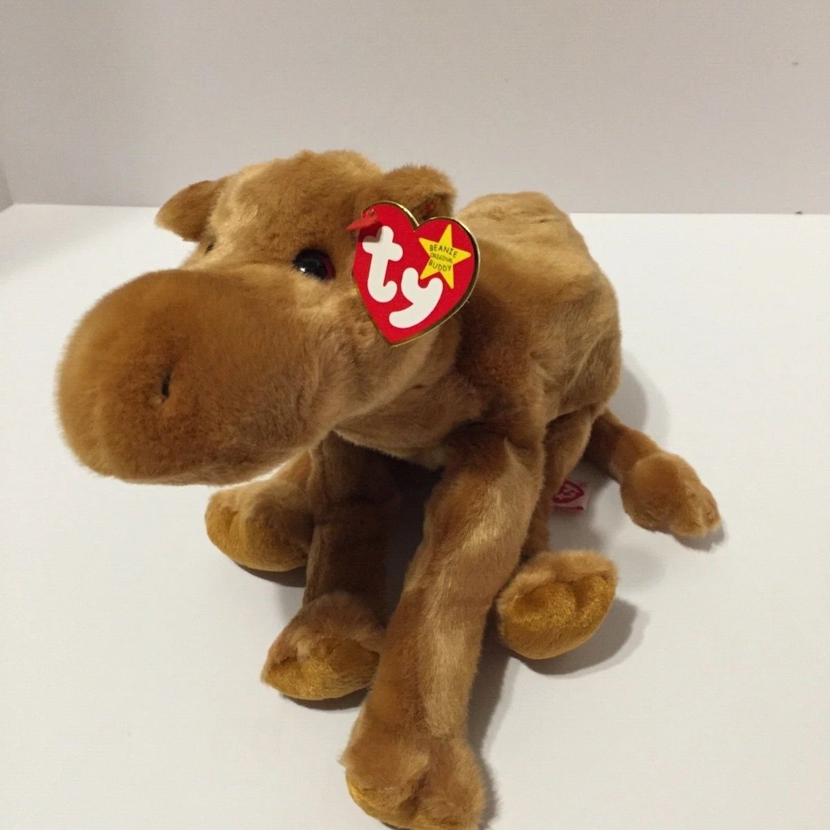 B Humphrey The Camel
