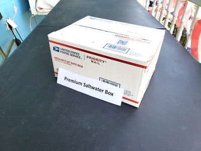 Miscellaneous Saltwater Box - Lot Of Fishing SW Fishing Tackle =all New ...