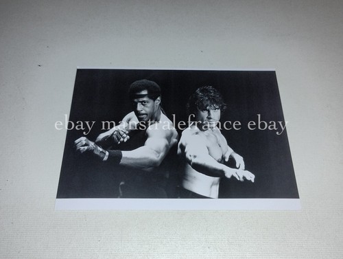 American Ninja 3 Blood Hunt Steve James David Bradley 1989 press promo ...
