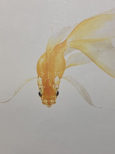 Beautiful Art Print Goldfish Steve JUM Yee Limited 1414/1600 | eBay