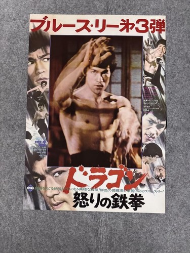 Bruce Lee Dragon Angry Tekken Movie Poster | eBay Australia