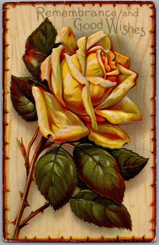 Remembrance & Good Wishes Yellow Rose Postcard B821 | eBay