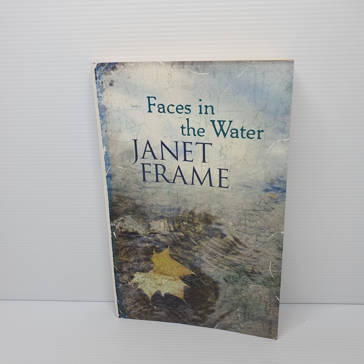 Janet Frame Faces In The Water - Infoupdate.org