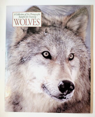 Wolves Collection Of 6 Wolf Photograph Art Prints For Framing 11 x 14 ...