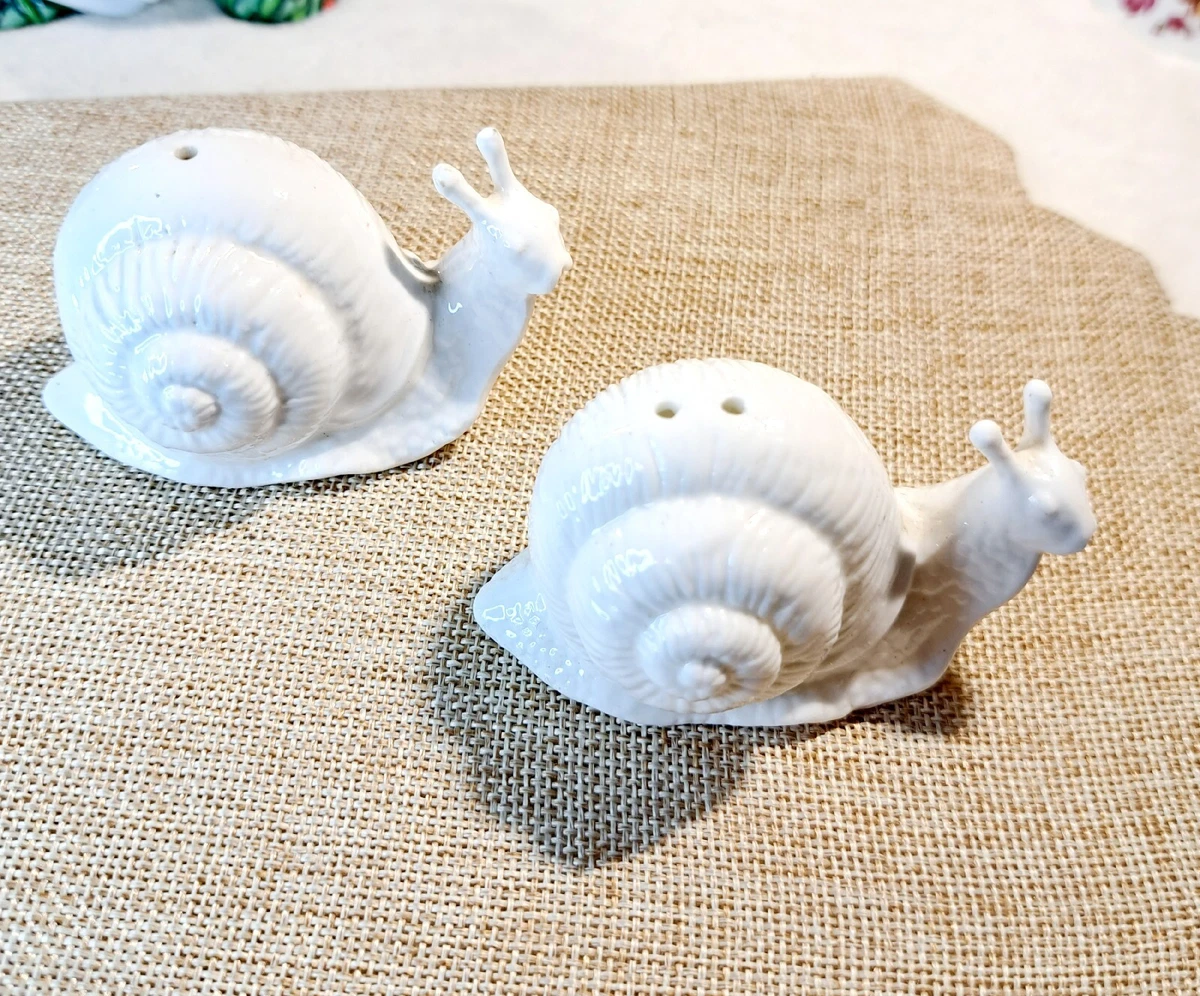 Snail Covered In Salt