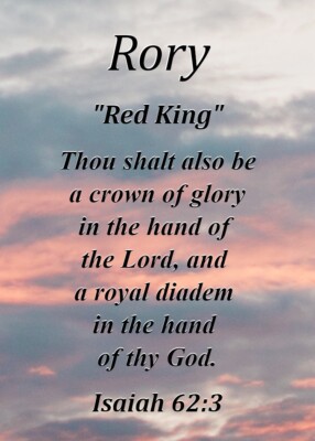 Rory "Red King" Keepsake Name Meaning Card with Bible Verse | eBay