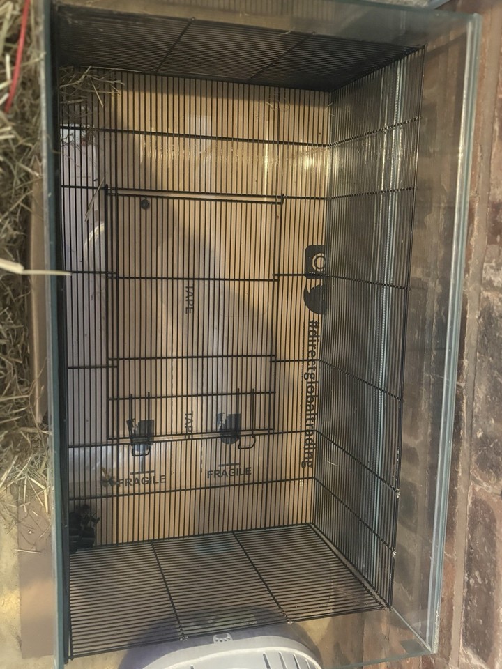 Falco Small Pet Cage for Gerbils, Hamsters, and Mice | eBay UK