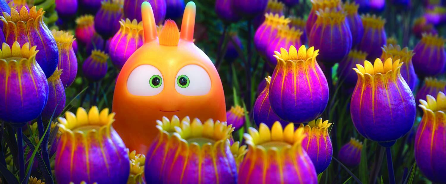 Terra Willy (Blu-ray) (US IMPORT) | eBay