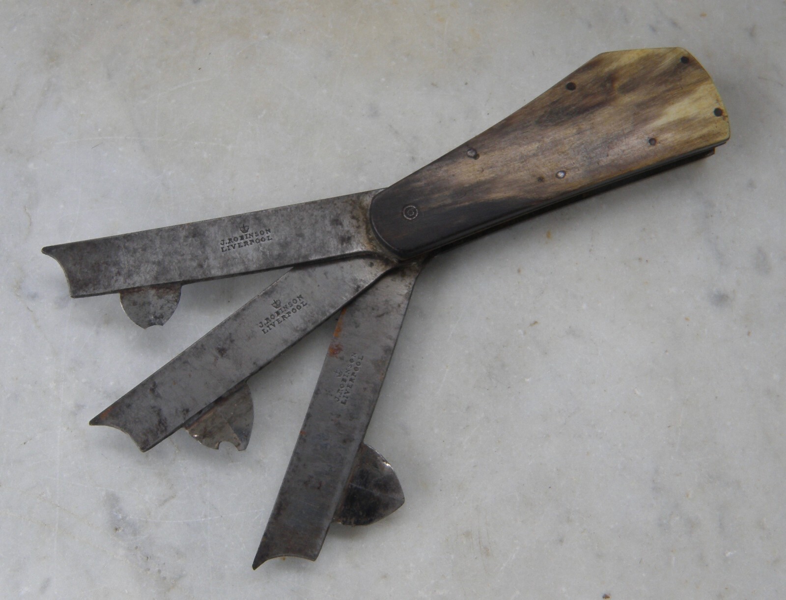 Antique 3 Blade Folding HORN FLEAM KNIFE Blood Letter Bleeder Robinson ...